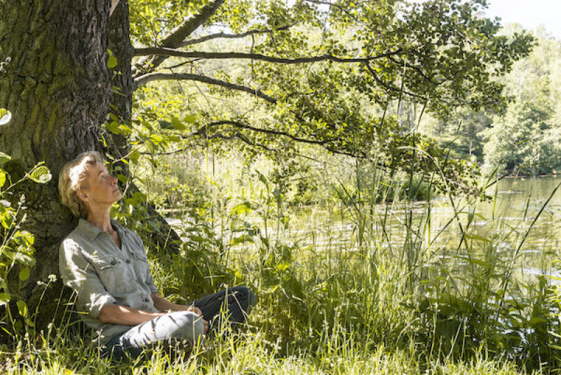 Skogsbad i Stockholm - Låt naturen inspirera dig