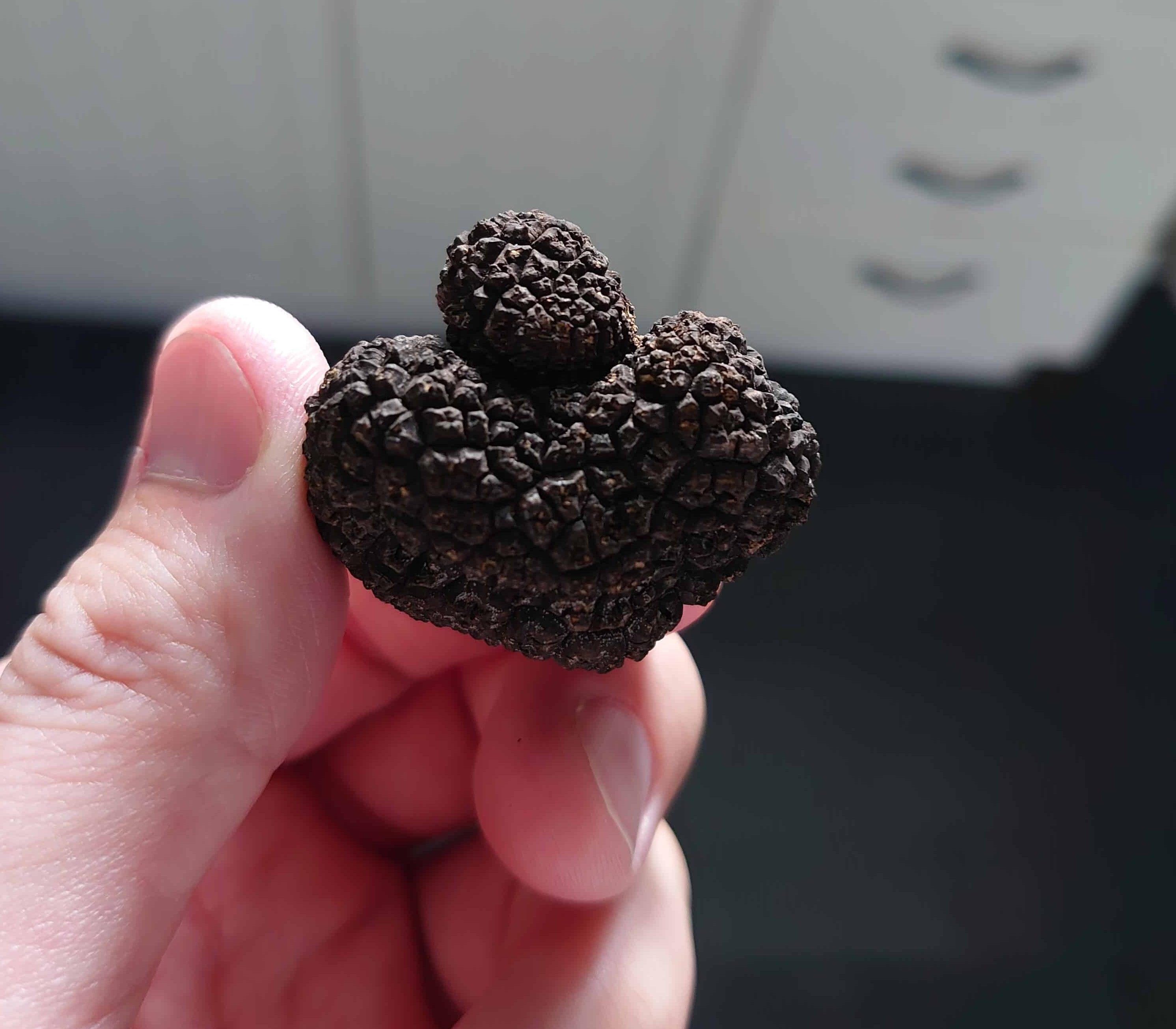 Nyfiken på tryffel?